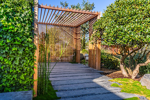 Adding a Pergola Cost Guide for Builders and Tradespeople - MyBuilder