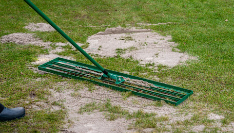 Expert Tips for Overseeding Your Lawn