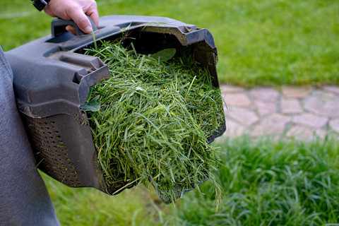 Lawn Cutting Service Costs in 2026 (UK Price Guide) - MyBuilder