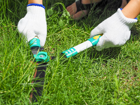 How to Mow Lawn: Simple Steps and Tips for a Healthy Yard