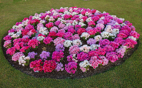 Beautiful Flower Beds: Transform Your Garden