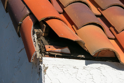 How to Repair Your Roof Tiles: Simple Steps