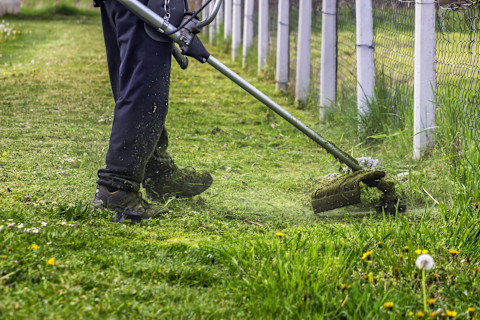 Lawn Cutting Service Costs in 2026 (UK Price Guide) - MyBuilder